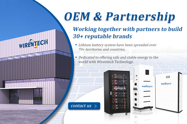 LiFePo4 battery, Lithium battery, 12V 100Ah lithium battery ...